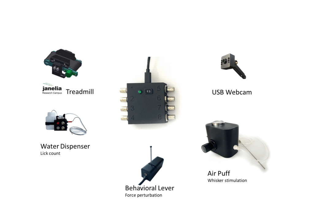 Behavioral Task Device - LabeoTech